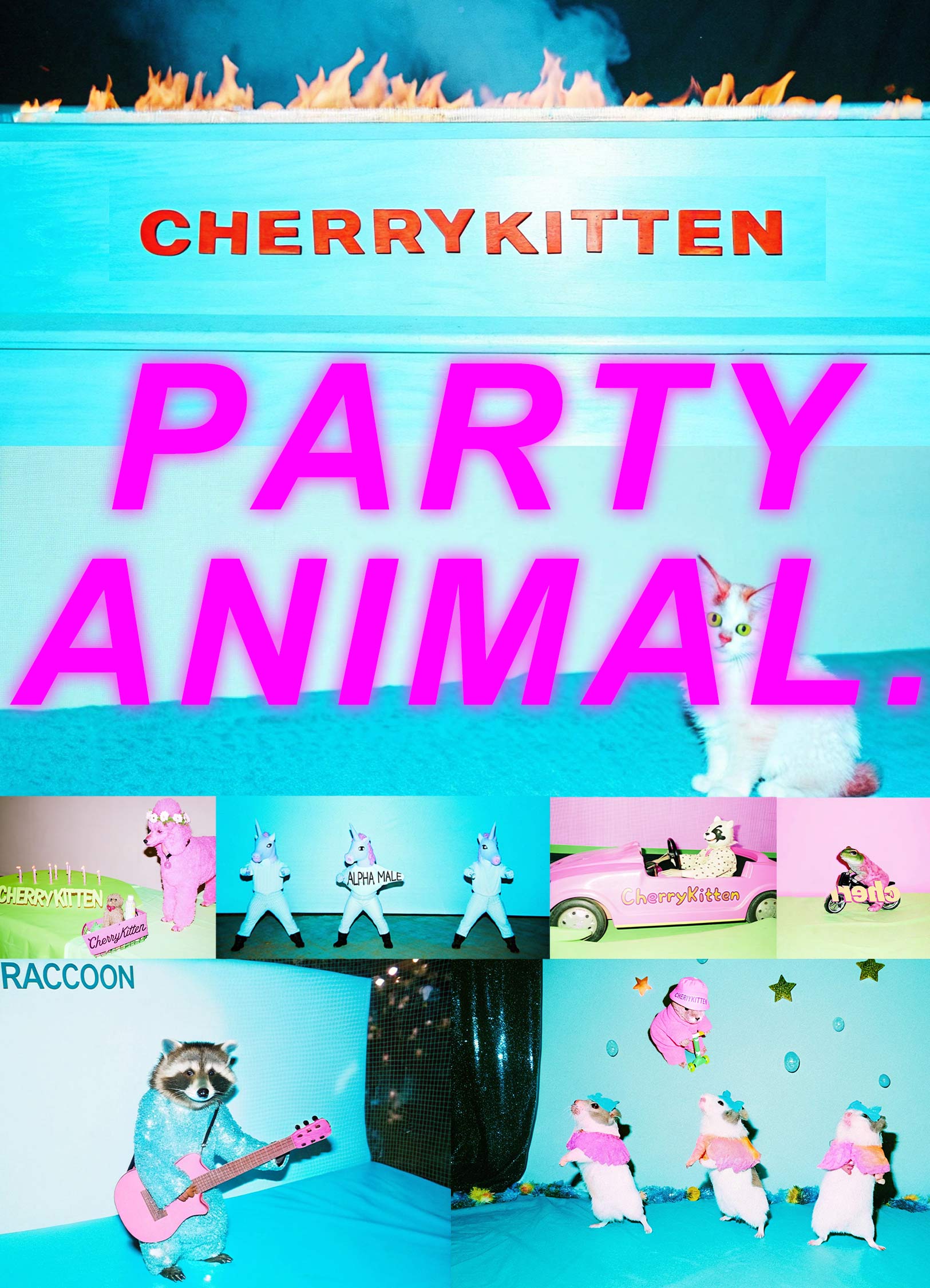 Cherrykitten® | Y2K Fashion Online Shopping| Clothing & Outfits